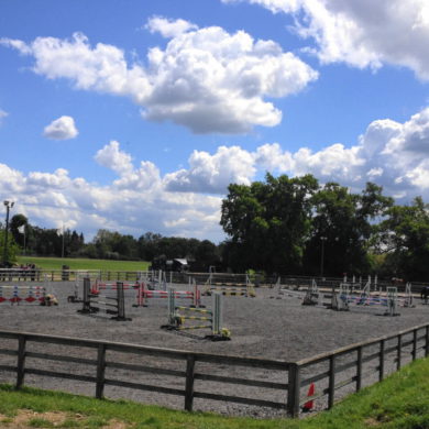 About Snowball Farm - Snowball Farm - Equestrian Centre