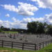 Facilities - Snowball Farm - Equestrian Centre