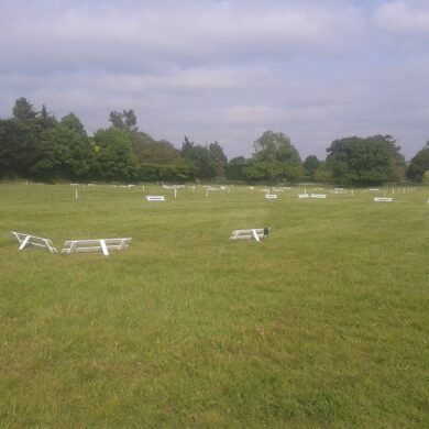 About Snowball Farm - Snowball Farm - Equestrian Centre