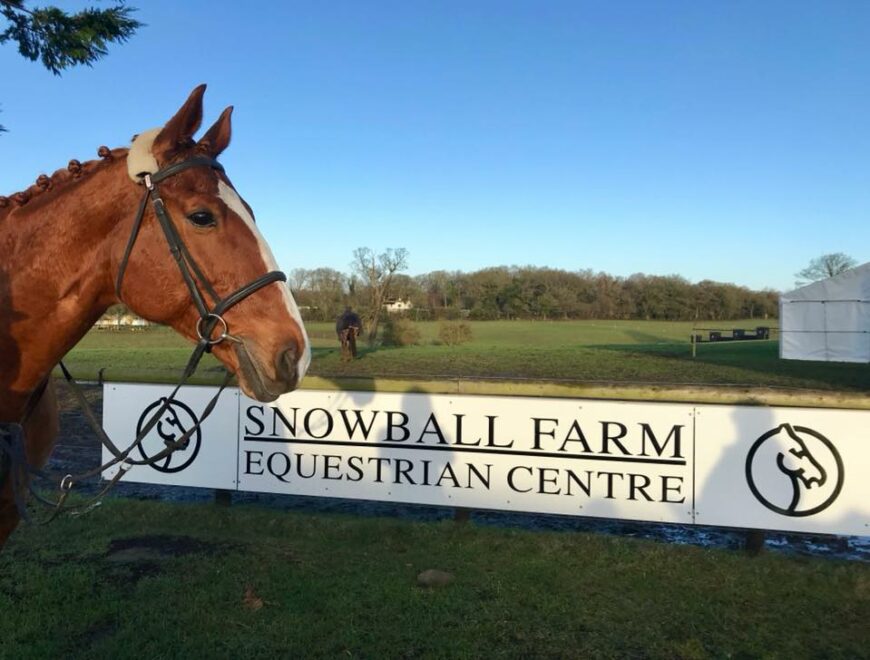 About Snowball Farm - Snowball Farm - Equestrian Centre