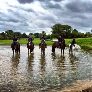 Events - Snowball Farm - Equestrian Centre