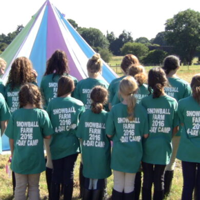 About Snowball Farm - Snowball Farm - Equestrian Centre