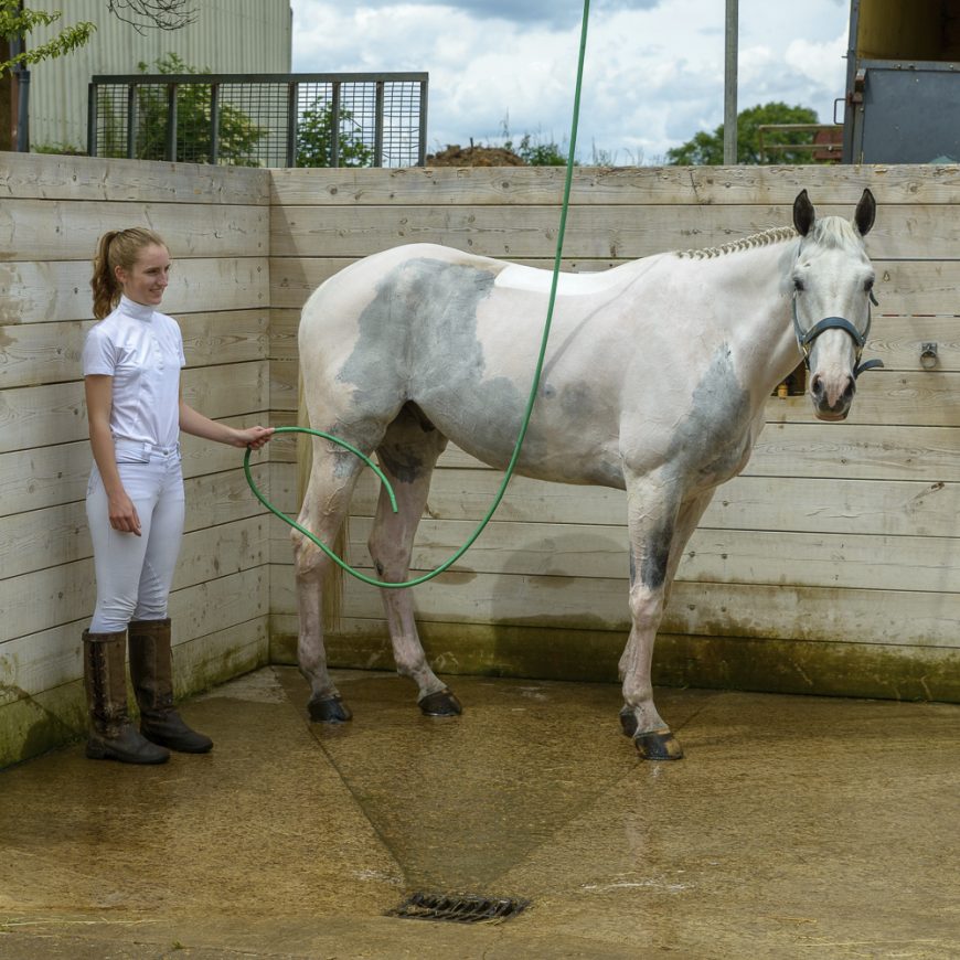 Facilities - Snowball Farm - Equestrian Centre