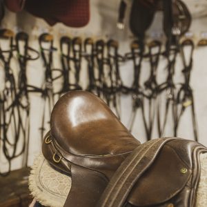 Facilities - Snowball Farm - Equestrian Centre